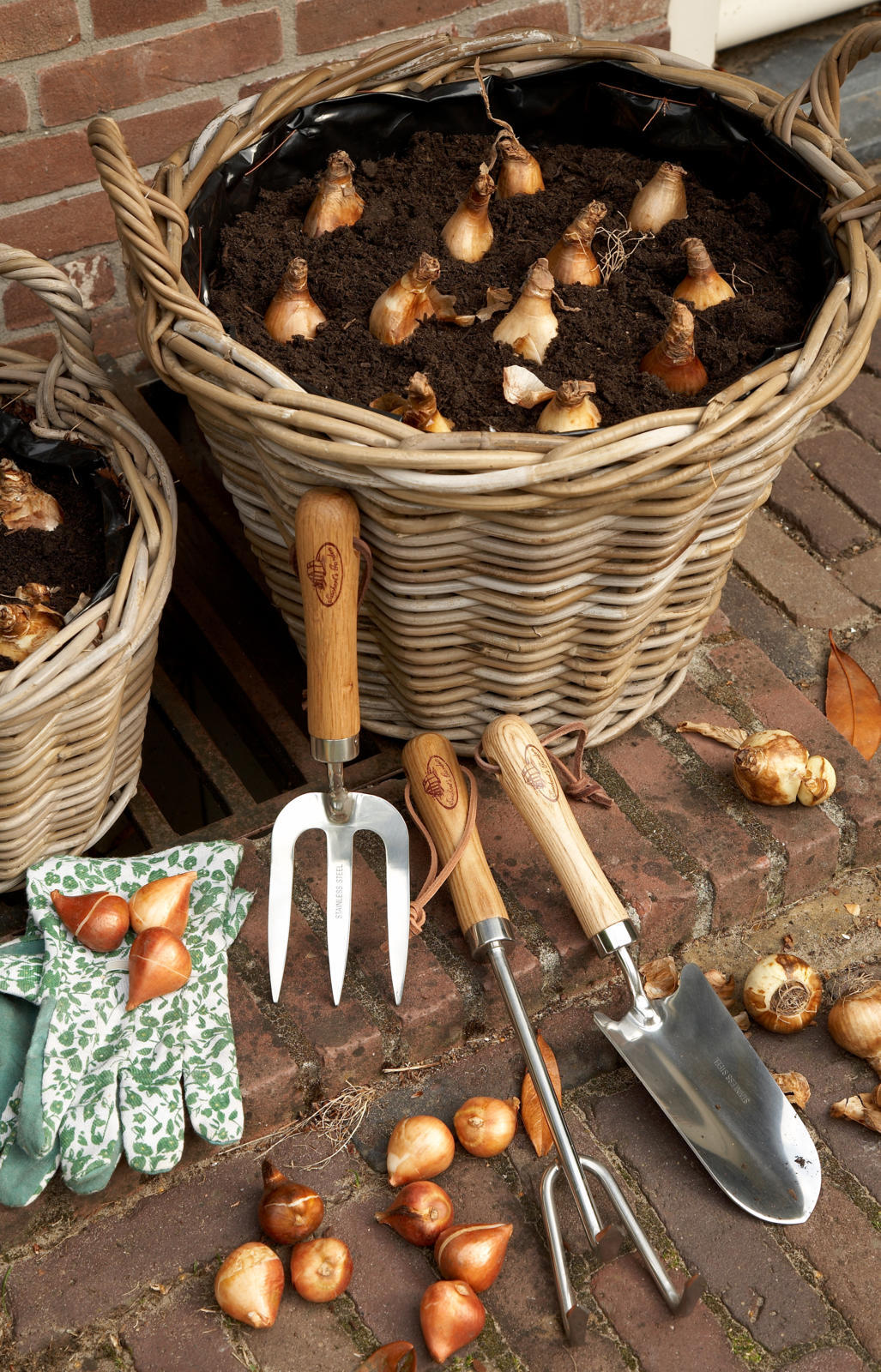 Bloembollen en biologische zaden – Tuincentrum Gernell | Tuincentrum ...