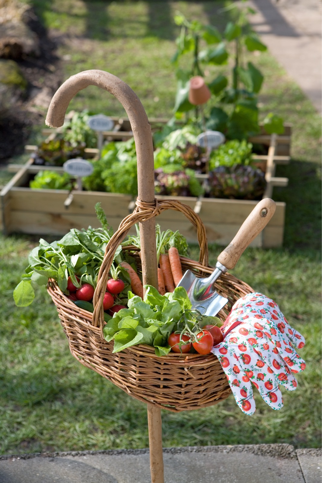 Alles voor je moestuin – Tuincentrum Gernell – Lemmer/Rutten ...
